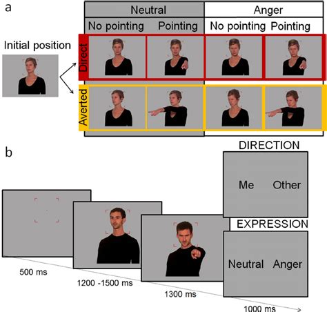 Experimental Procedure And Stimuli Examples A From The Initial