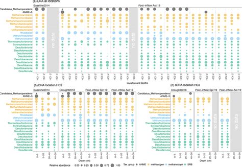 Bubble Plots Showing The Microbial Community Composition And Relative