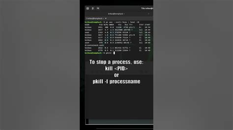 Monitor And Kill Cpu Intensive Processes Sysadmin Linuxcommands Linux Ittips Techtips Youtube