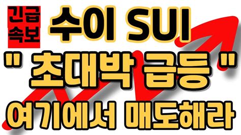 수이코인 긴급속보 초대박 급등 여기에서 매도해라 Youtube