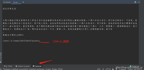 清除终端 terminal 的代码 快捷键 清屏 terminal清屏 csdn博客