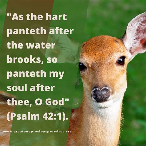 Daily Bread Scriptures To Meditate Upon