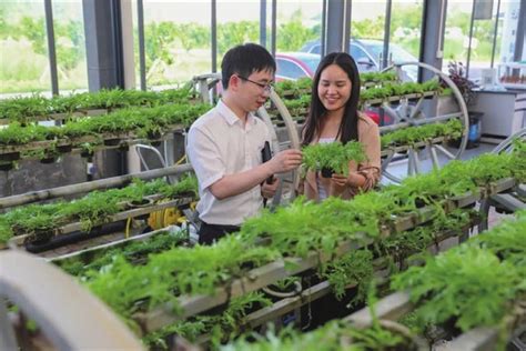 金融助力农创客