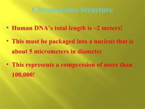 Structure Of Nucleic Acid Ppt
