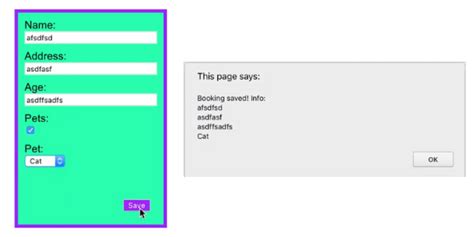 Full Stack Web Development Mini Degree Zenva Academy