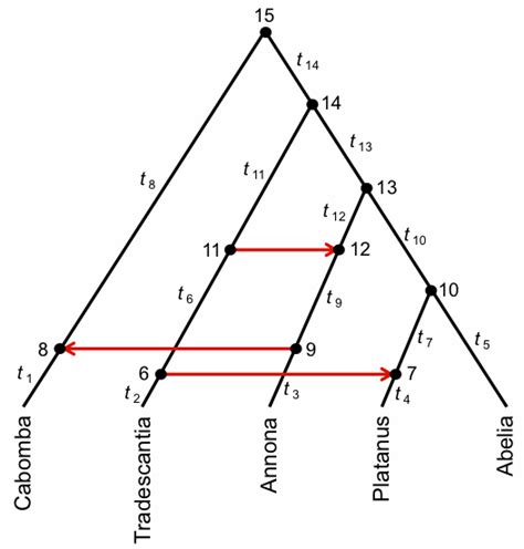 The Genealogical World Of Phylogenetic Networks Bayesian Inference Of Phylogenetic Networks