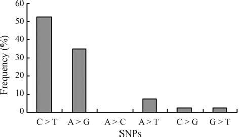 Base Substitution Types And The Respective Frequencies Download Scientific Diagram