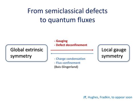 Ppt Twist Liquids And Gauging Anyonic Symmetries Powerpoint Presentation Id3577548
