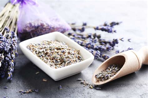 薰衣草背景图片 白色木桌上的薰衣草花素材 高清图片 摄影照片 寻图免费打包下载