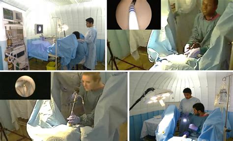 Full Immersion Simulation Utilised For Ureteroscopy Training Download Scientific Diagram