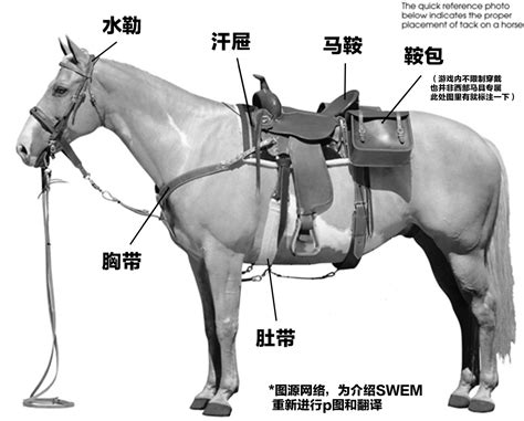 【马术模组swem】常见问题解答：获取swem马、马具穿戴、骑马 哔哩哔哩