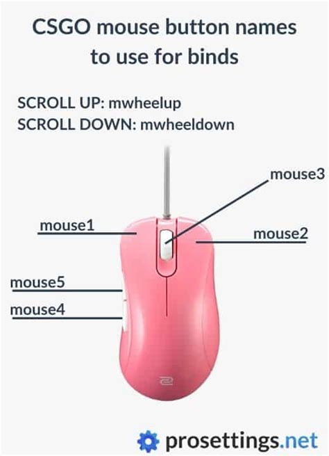 Best CS GO Binds ProSettings Net