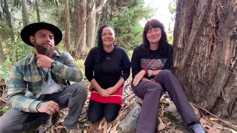 Video Indigenous Psychedelic Assisted Therapies Ipat On Linkedin