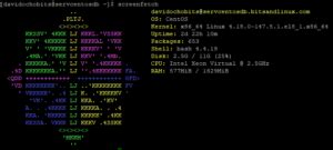 Instalar Screenfetch Y Neofetch En Centos Ochobitshacenunbyte