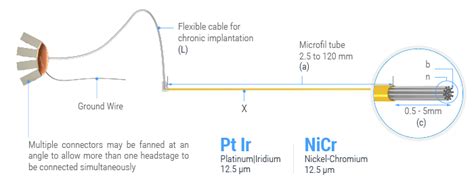 Microwire Brush Array Mba Microprobes For Life Science