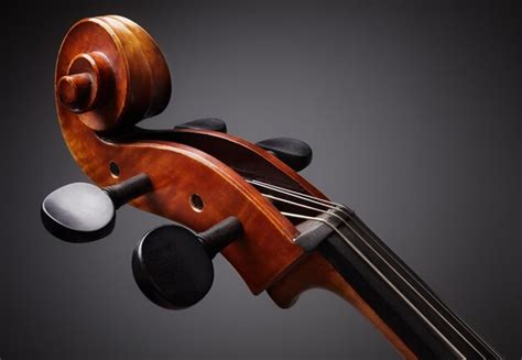 Premium Photo Cello Scroll