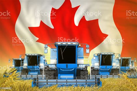 일부 블루 농업 은 캐나다 국기 배경호밀 밭에 수확기를 결합 전면보기 굶주림 개념을 중지 산업 3d 그림 기에 대한 스톡 사진 및 기타 이미지 Istock