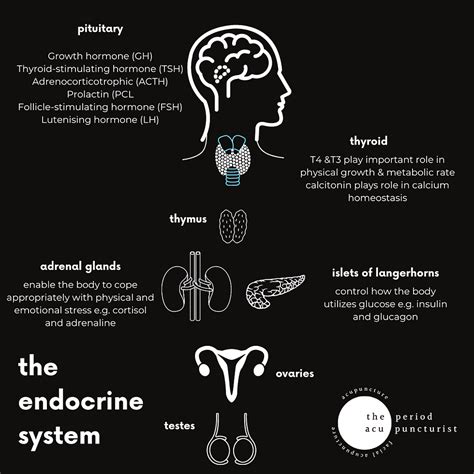 Understanding The Impact Of Endocrine Disrupting Chemicals On