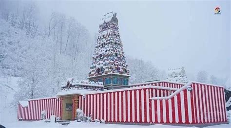 Tharsika Sivaraja Tharsikasivara1 Twitter