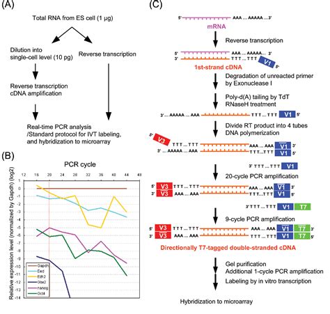 Table 1 From An Improved Single Cell Cdna Amplification Method For Efficient High Density