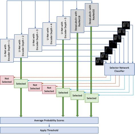 Block Diagram Of The Proposed Selector Network Ensemble Lung
