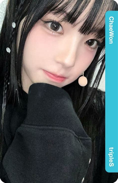 지브리 ㅆㅃ 그만해 연예인잡담 에펨코리아