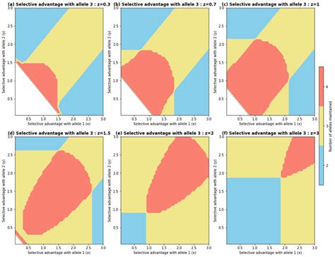Level Of Polymorphism Maintained In The Population After The