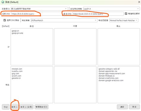 [feature request] 大佬，能否 幼儿园化 dns设置 · issue 2743 · 2dust v2rayn · github