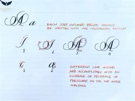 Best 13 Spencerian Penmanship For Beginners Capital Letters How To