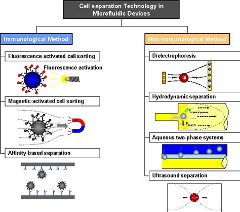 Schematics Of Microfluidic Cell Separation Techniques Download