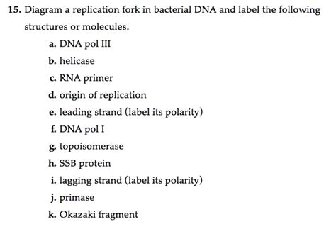 Solved 5 Diagram A Replication Fork In Bacterial Dna And