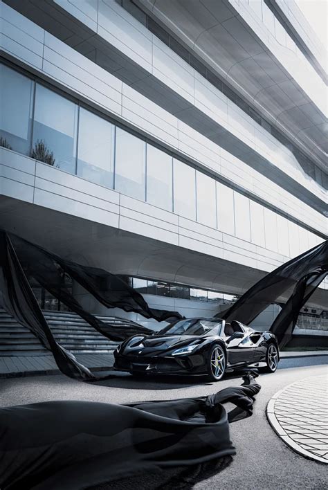 Ferrari Lines 花瓣网