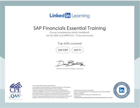 Habib Saadabadi On Linkedin Sap Saperp Sapfi Sapfiori Erp Finance Analytics
