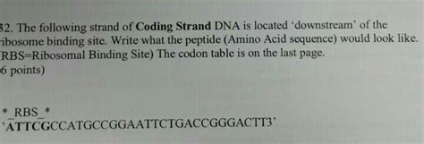 Solved The Following Strand Of Coding Strand Dna Is Located