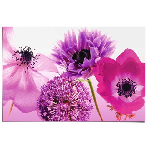 Poster Lila Sommer 61x915 Reindersshop