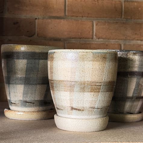 Blue Check Planter By Sandra Bowkett The Plant Society