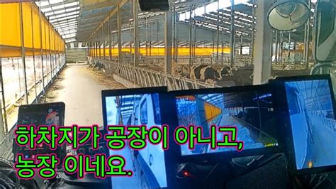 [ 백자루 판넬 상차 ] 하차지는 젖소 키우는 농장 Youtube