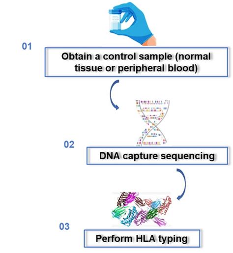 Hla Typing Alfa Cytology