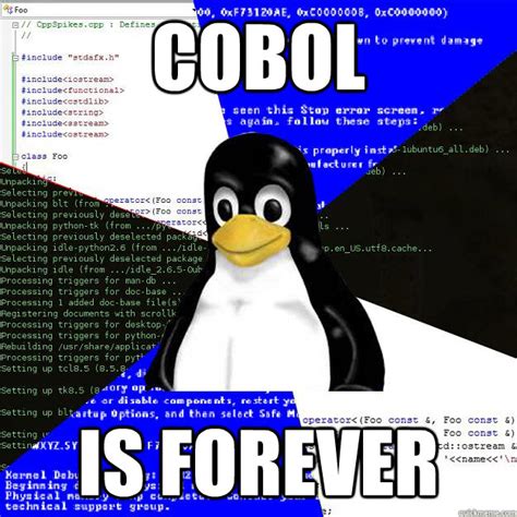 Cobol Is Forever Computer Science Penguin Quickmeme