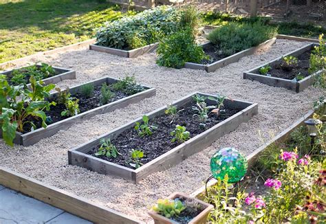 Vegetable Garden Gravel