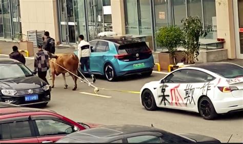 News China Driver Buys Used Us 14 000 Tesla Finds It Will Not Charge