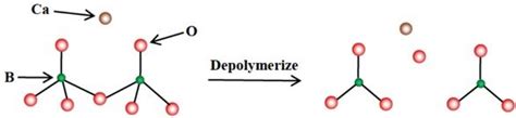 Schematic Diagram Of Depolymerization Download Scientific Diagram