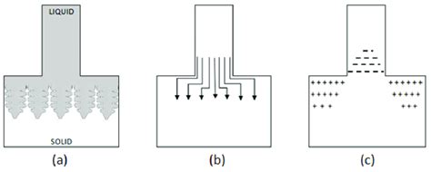 macrosegregation in a unidirectionally solidified casting of reduced