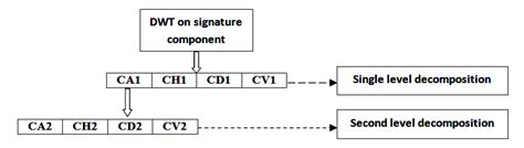 Two Level Dwt On Signature Component Download Scientific Diagram