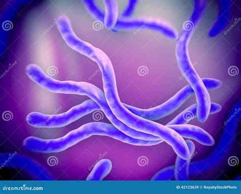 Borrelia Burgdorferi Stock Illustration Image 42123639
