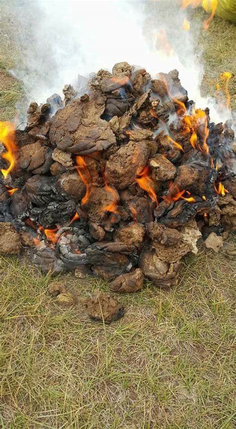 Аргалын утаа түүний тухай