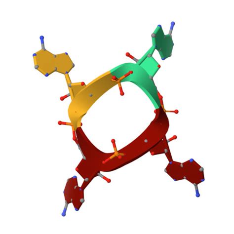 Rcsb Pdb 8q3z Crystal Structure Of Ca4 Bound Can2 From Thermoanaerobacter Brockii