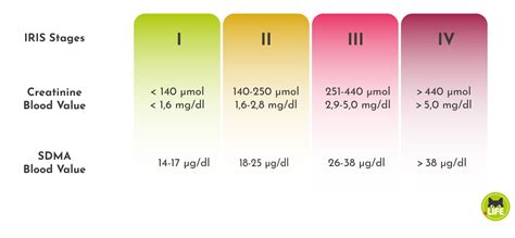 Ckd Stages And Guidelines Catlife
