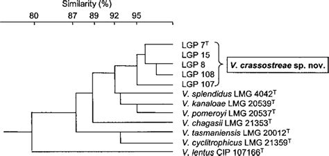 Cluster Analysis Of Phenetic Data For Vibrio Species Using Simple