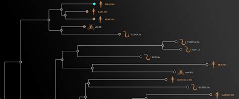 New Release Of The Open Targets Platform